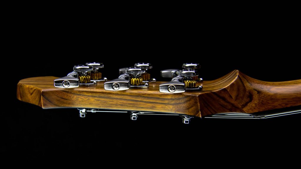 7-STRING GUITAR - For a wider range of tones | Cyan Custom Guitars